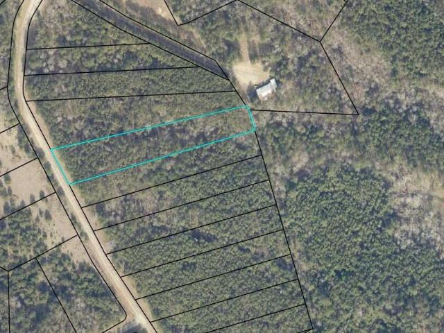 1030 Clinton williams Road