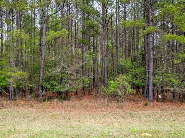 182 Stillwater, Lincoln Park, GA 30817