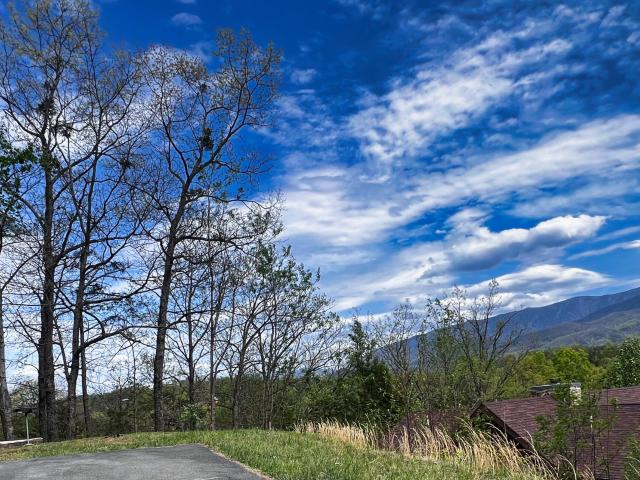 1030 Fox Tail Trail, Gatlinburg, TN 37738 | MLS #1337