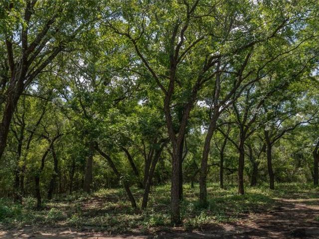 1030 Shiloh Vista Ln, Tolar, TX 76476
