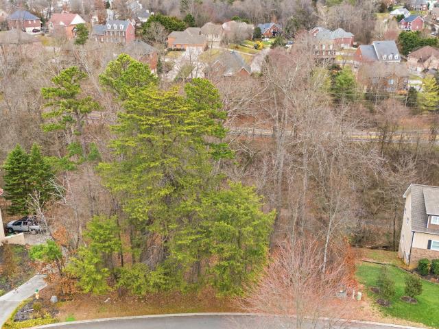 10311 N River Tr