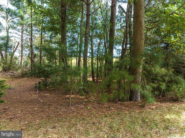 10312 Thirty Knots Lane, Berlin, US, MD