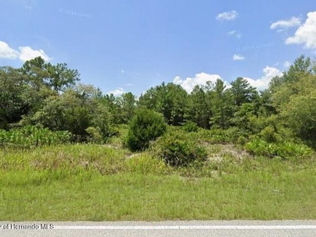 10312 Fulton Ave, Weeki Wachee, FL 34613