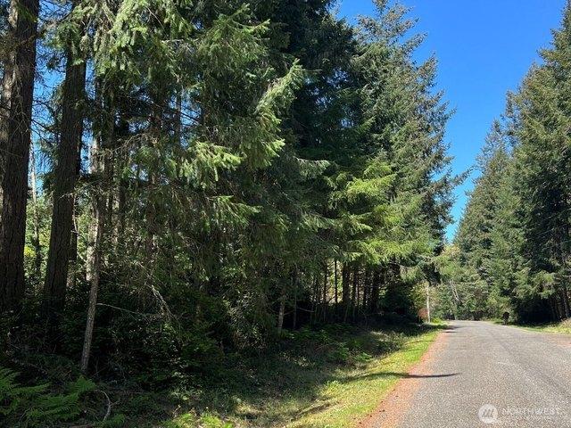10312 Paine Rd, Anderson Island, WA 98303