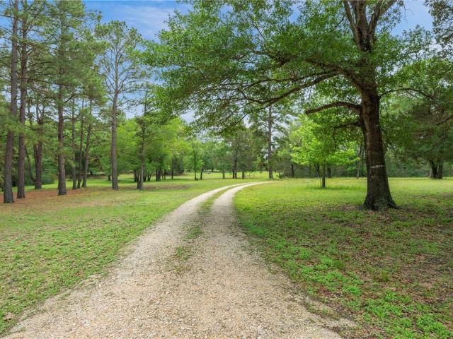 10314 County Road 417A