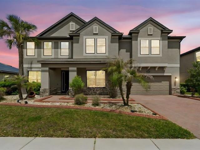10316 Clover Pine Dr, Tampa, FL 33647