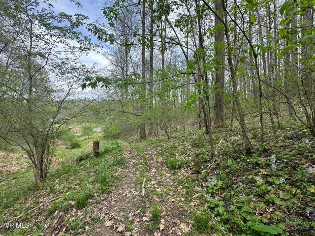 10318 Caney Valley Road
