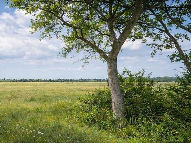 10318 County Road 67, Manvel, TX 77578
