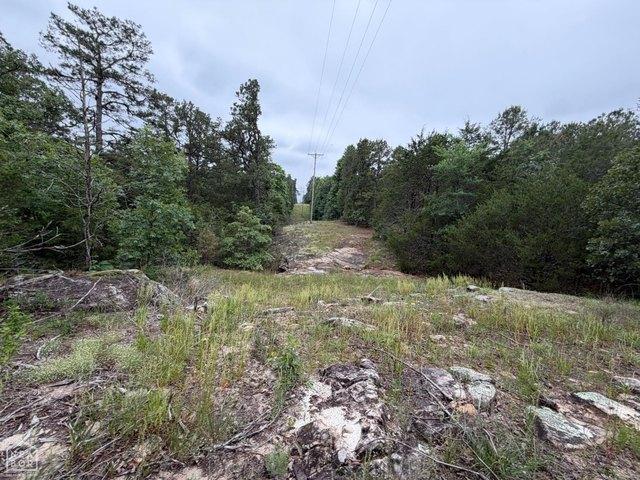 1031 Old Dolph Rd, Calico Rock, AR 72519