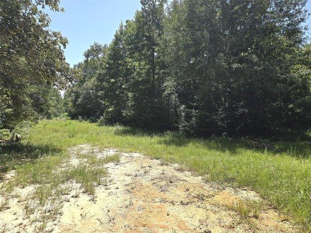 1031 Plantation Dr, Livingston, TX 77351