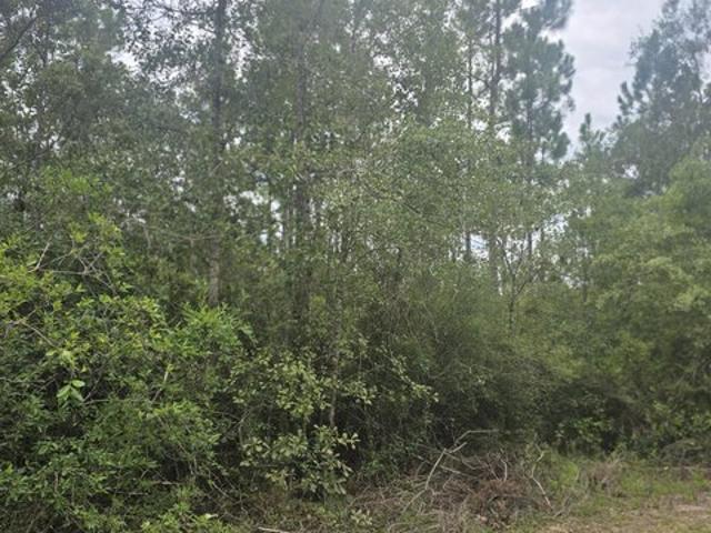 10320 River Alley Rd, Youngstown, FL 32466