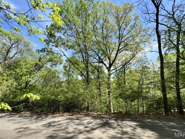 1032 Chesterfield Forest Dr, Wildwood, MO 63005