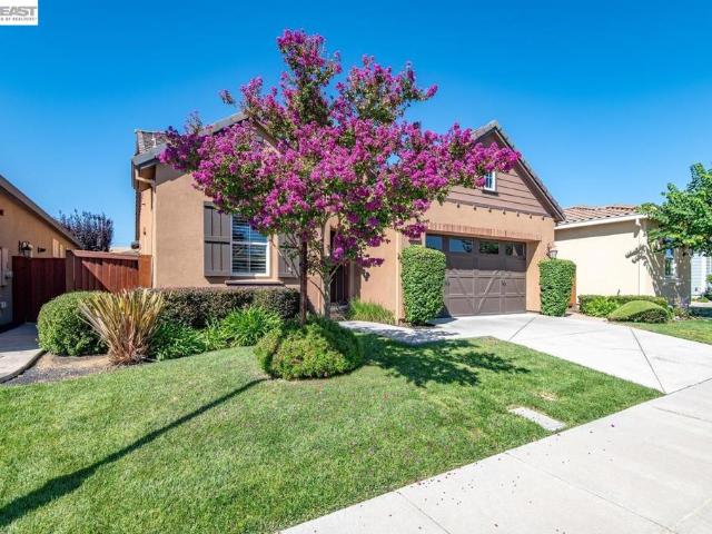 1033 Malbec Ln