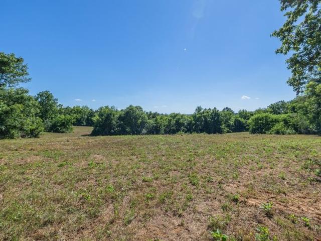 1033 Bugscuffle Rd, Wartrace, TN 37183