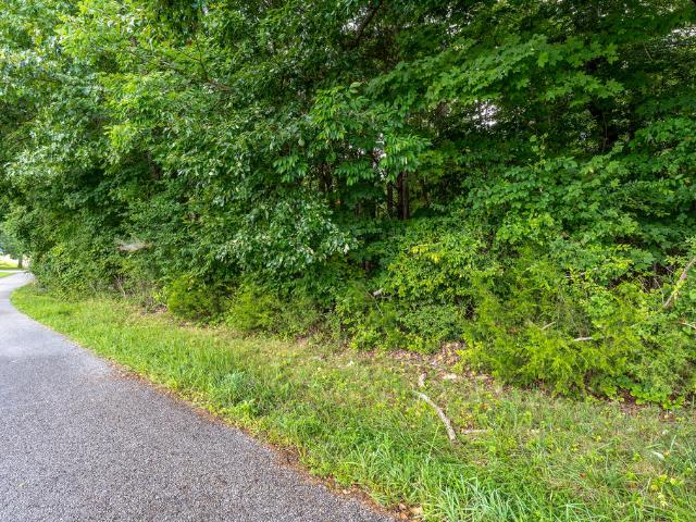 1033 Bald Knob Mountain Cummings Cove Rd