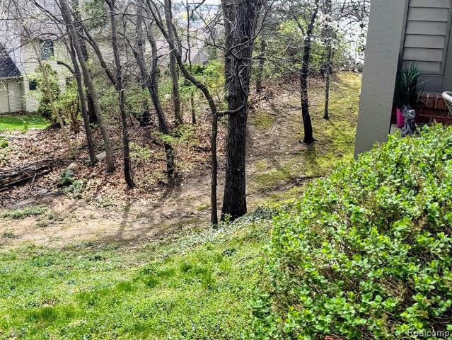 1033 Elmwood Drive