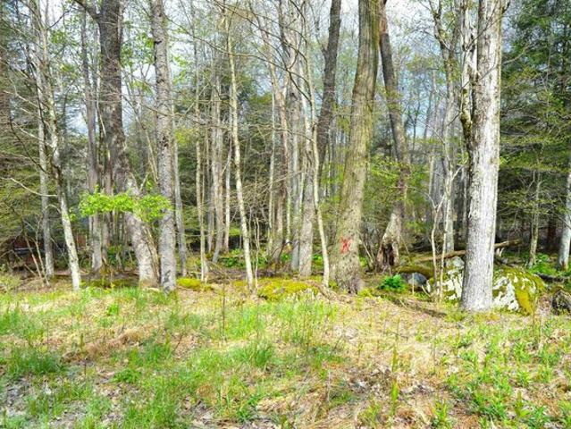 103 104 Arbutus Ct, Terra Alta, WV 26764