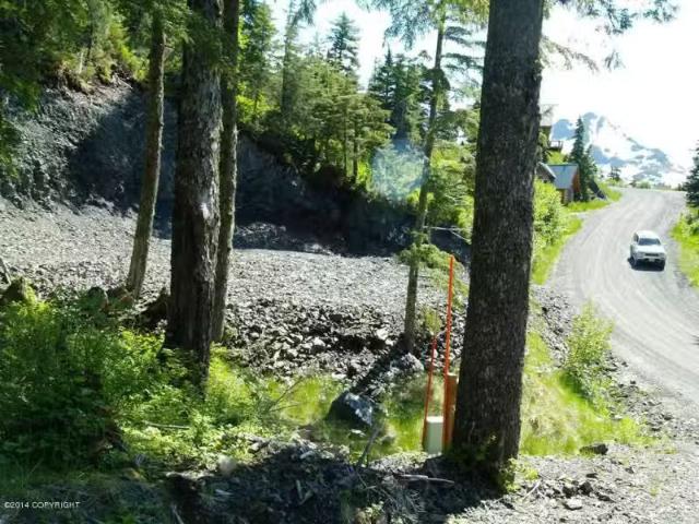 103 CABIN RIDGE RD, CORDOVA, AK 99574 Vacant Land For Sale ML.