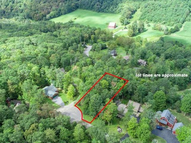 103 Birdsong Way, McHenry, MD 21541