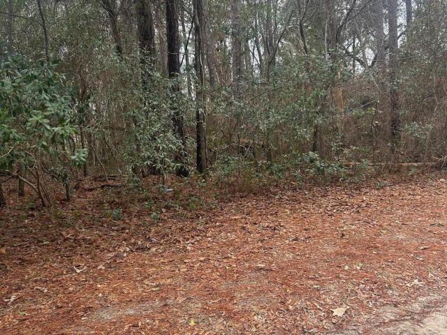 103 Dogwood Lane # 38