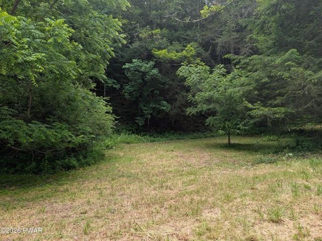 103 Hopkins Rd, Tyler Hill, PA 18469