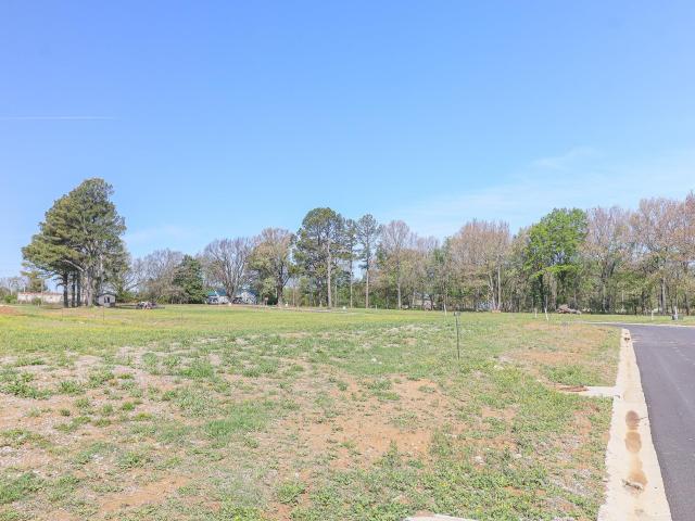 103 Horseshoe Creek Drive