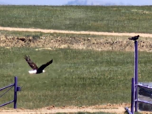 103 Hawkeye Trl, Rock River, WY 82083
