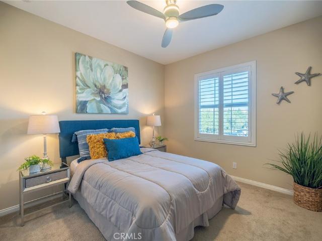 103 Oasis