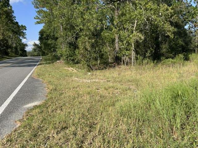 103 Lee St, Hawthorne, FL 32640 | MLS #GC536860