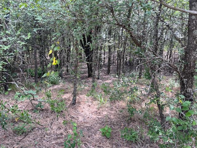 103 Mann Ln, Cedar Creek, TX 78612 | MLS #5810 | Compass