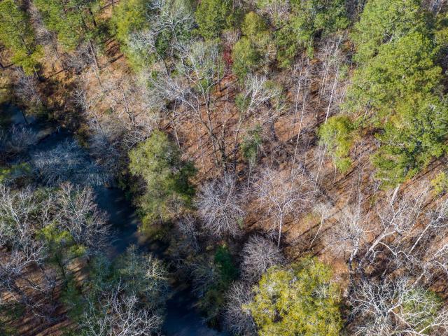 103 Ranch Cir, Forsyth, GA 31029 | MLS #10667