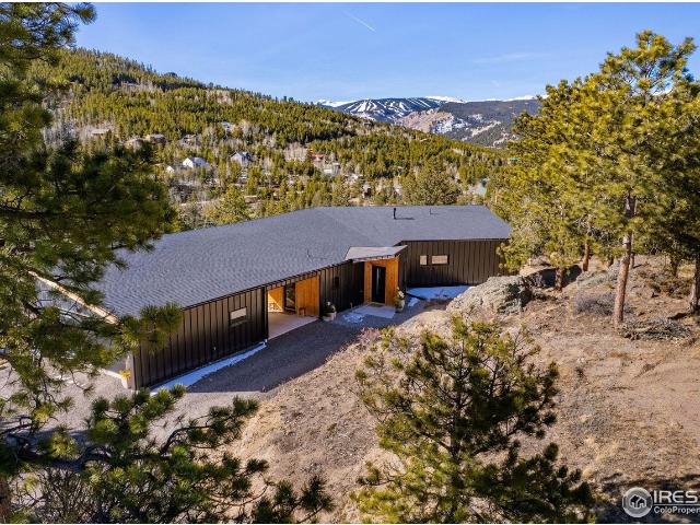 103 Wildewood Dr, Nederland, CO 80466 | MLS #1051