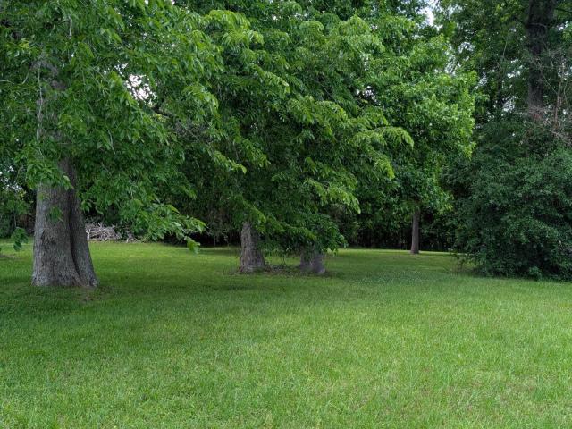 103 Thornhill Cir, Lafayette, LA 70503 | MLS #2020023