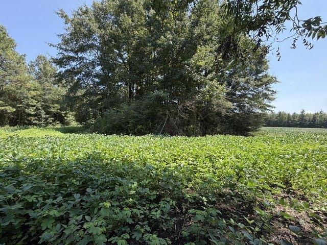 103 Zena Ln, Bishopville, SC 29010