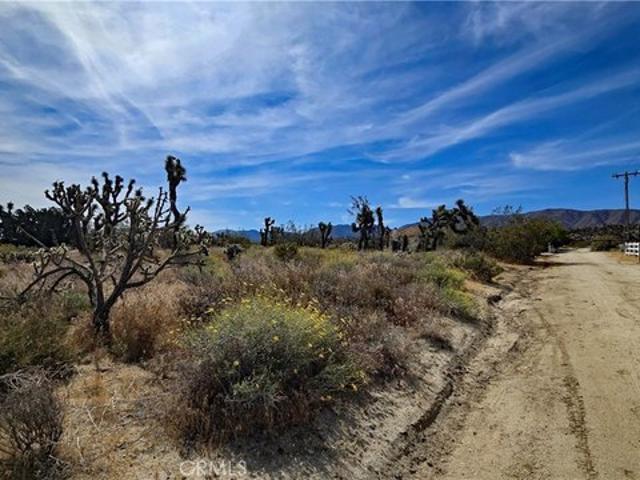 103rd Vicinity St E # W14, Juniper Hills, CA 93543