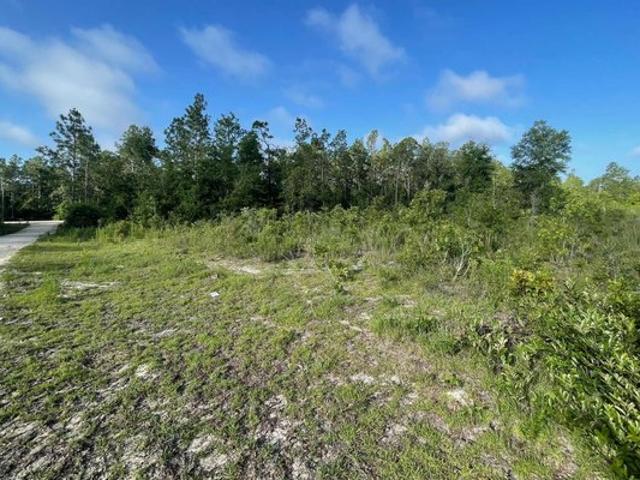103rd Dr, OBrien, FL 32071