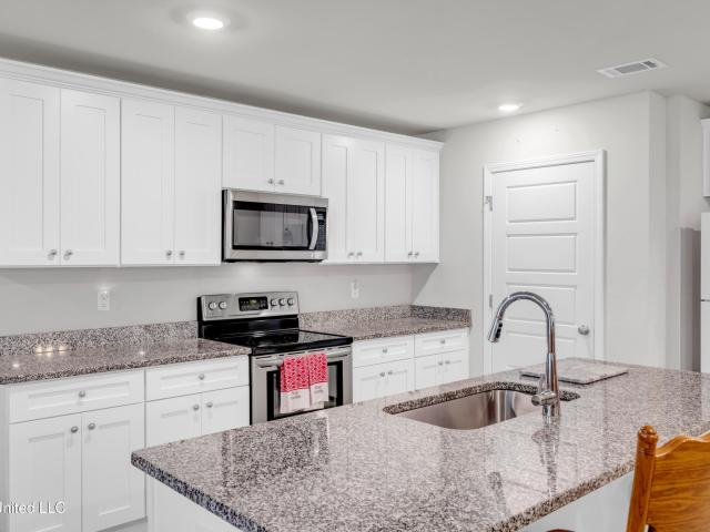 10440 Willow Leaf Drive