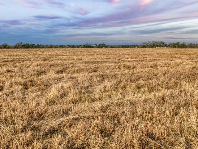 Tbd County Road 318, Caldwell, TX 77836