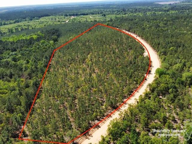 1045 McQueen Rd, Patrick, SC 29584