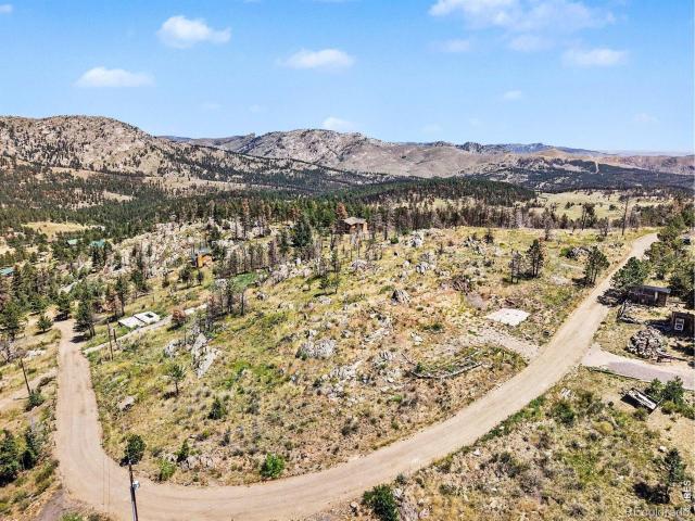 1045 Palisade Mountain Drive