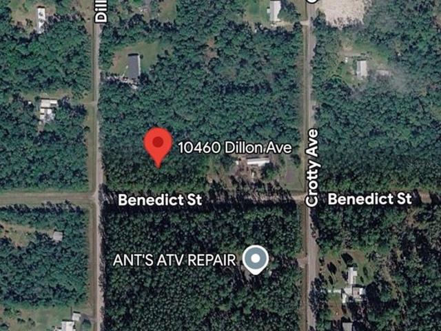 10460 Dillon Ave, Hastings, FL 32145