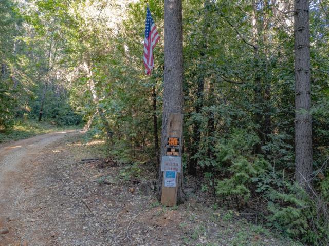 10466 N Slope Trail, Brownsville, CA 95919 | MLS #225115