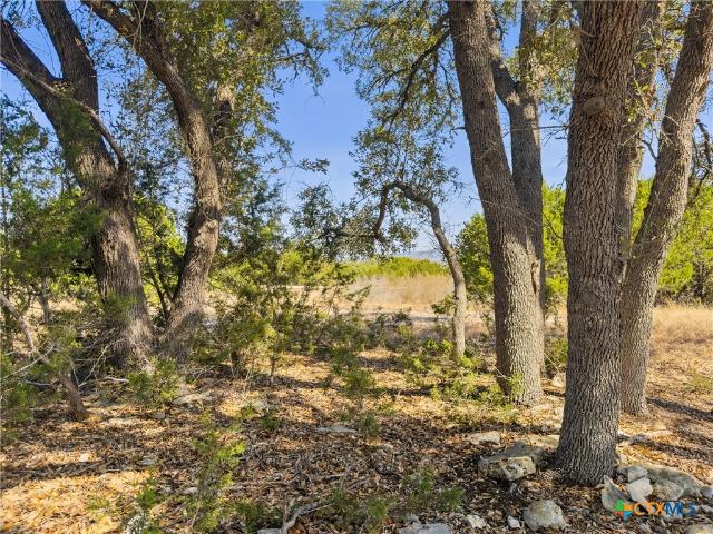 1046 Buckskin Trail