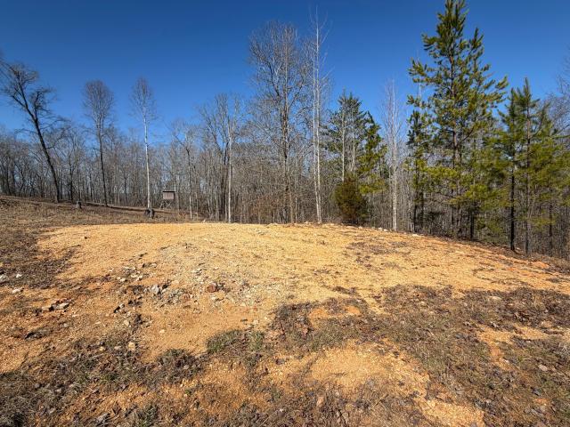 1046 Pendall Lane