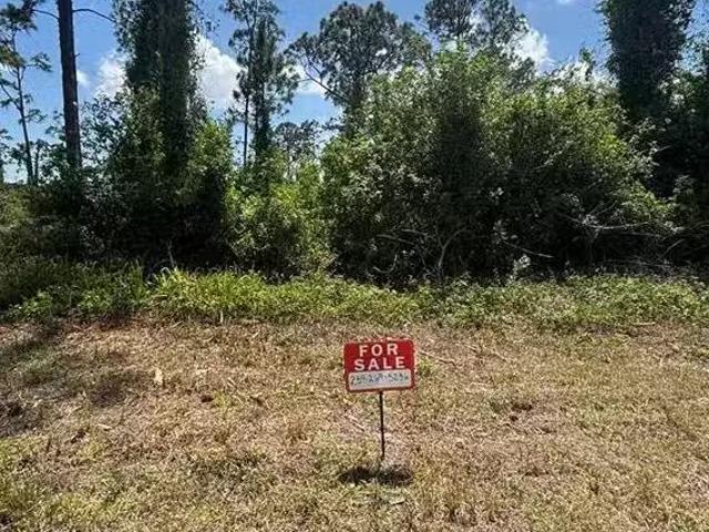 1046 Pine Cove Dr, Lehigh Acres, FL 33974 MLS 225032778