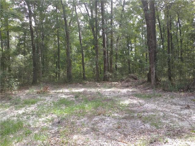 1046 Wallace Dr N E, Townsend, GA 31331 | MLS #1660 | Compass