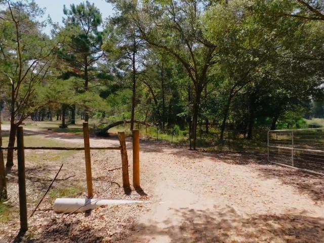 1047 Jim Bob Lane