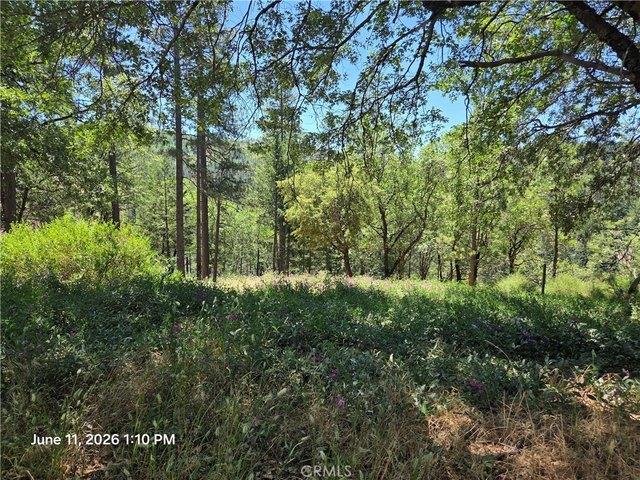 10481 Sycamore, Loch Lomond, CA 95461