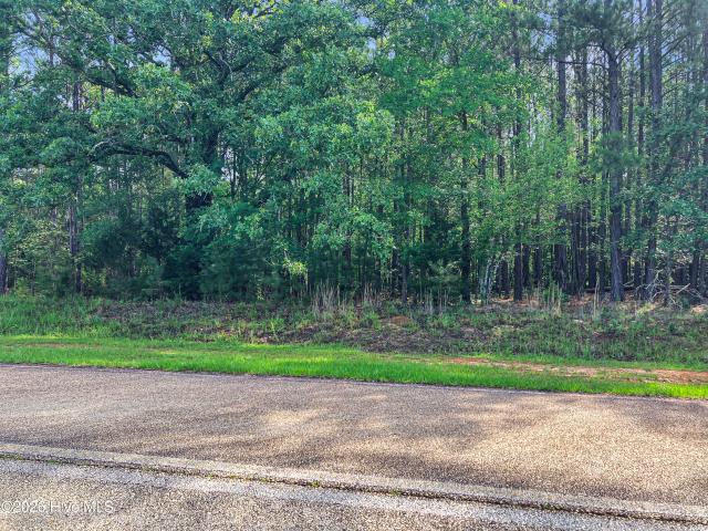1048 Clinton Williams Road