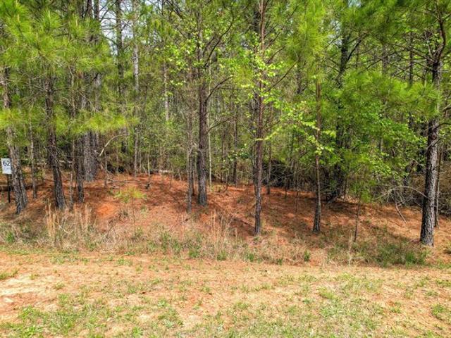 1048 Longleaf Way Lot 62, Lincolnton, GA